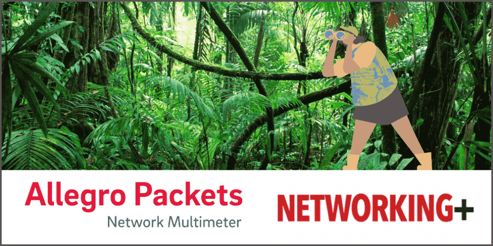 networking+ builds on know-how from Allegro Packets